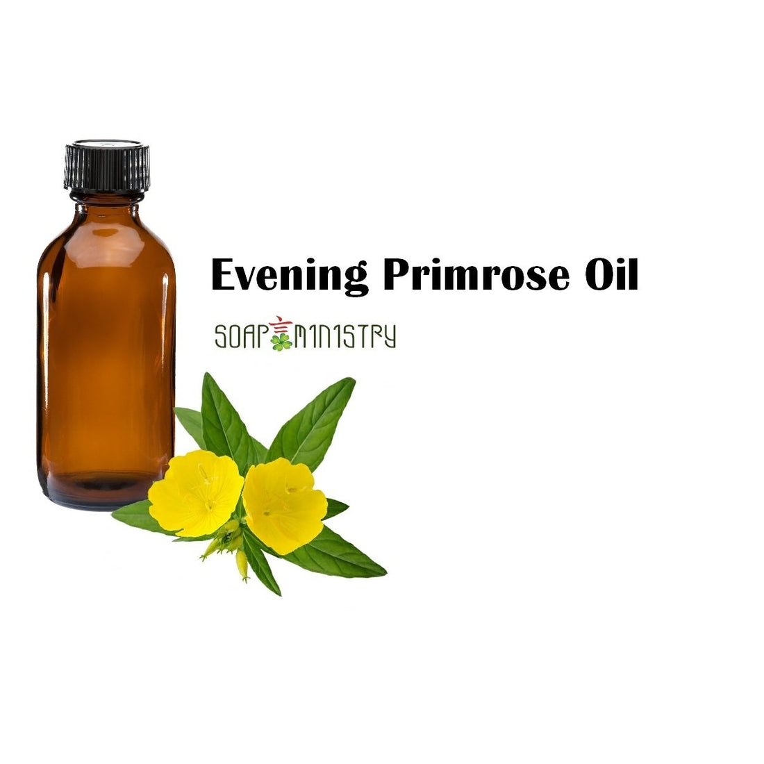 Evening Primrose Oil – SoapMinistry